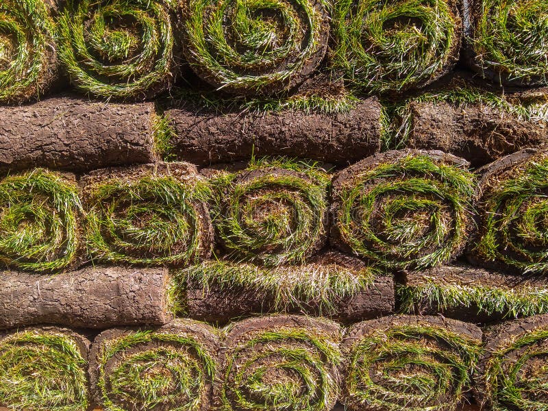 The Rolled Grass Lawn Closeup is Ready for Laying, a Pile of Perfect ...