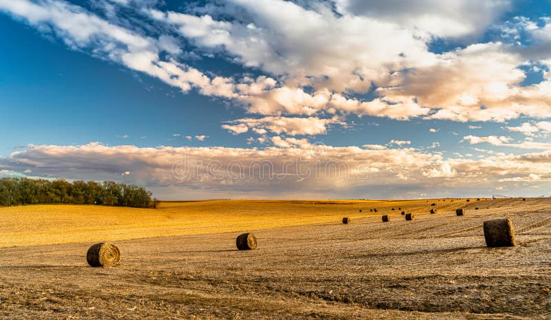 Rolled Hay in a Farm Field in the Fall on the Plains Stock Photo ...