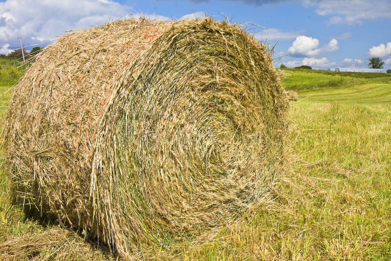 Rolled Haystack on Hill stock image. Image of farm, agriculture - 16139555