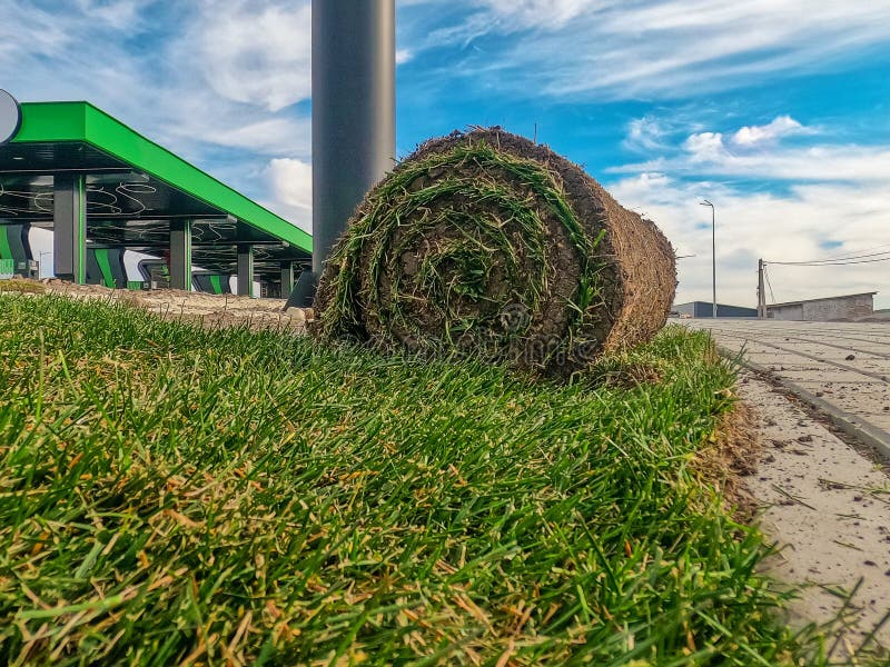 Rolled Lawn Preparation for Laying Stock Image - Image of tool, male ...