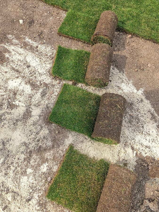 Rolled Lawn Preparation for Laying. Twisted Rolls of Soil with Grass on ...