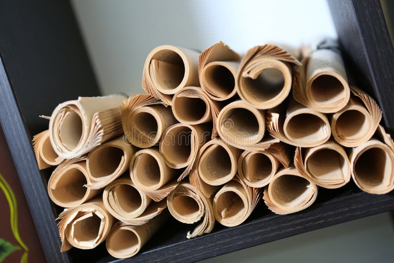 Rolled pages stock photo. Image of rolled, educational - 46244602
