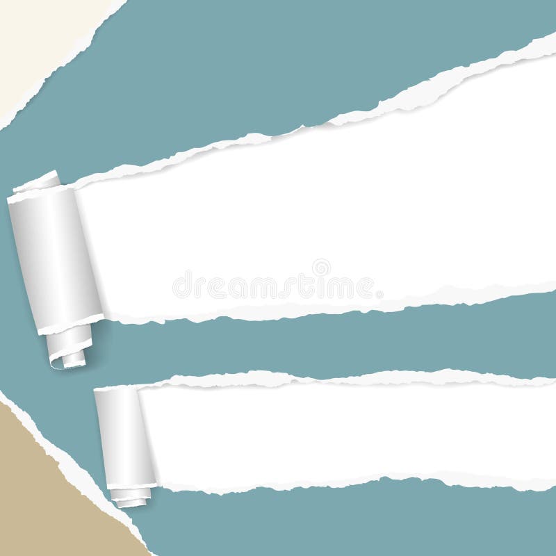 Rolled and Ripped Blue Notebook Sheet, Torn Paper in Corners Stock ...