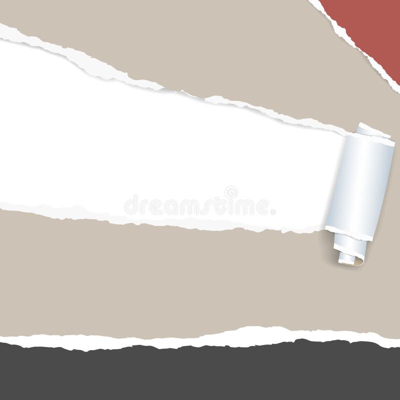 Rolled and Ripped Brown Notebook Sheet, Torn Paper in Corner Stock ...