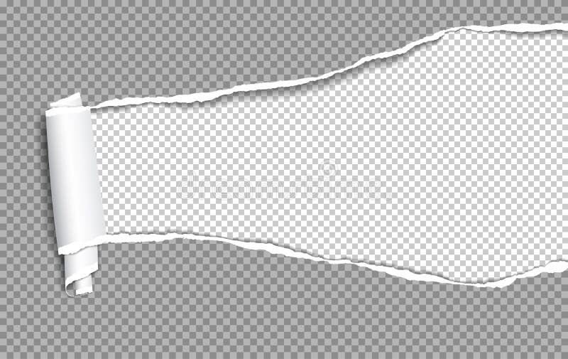 Rolled and Ripped Blue Notebook Sheet, Torn Paper in Corners Stock ...