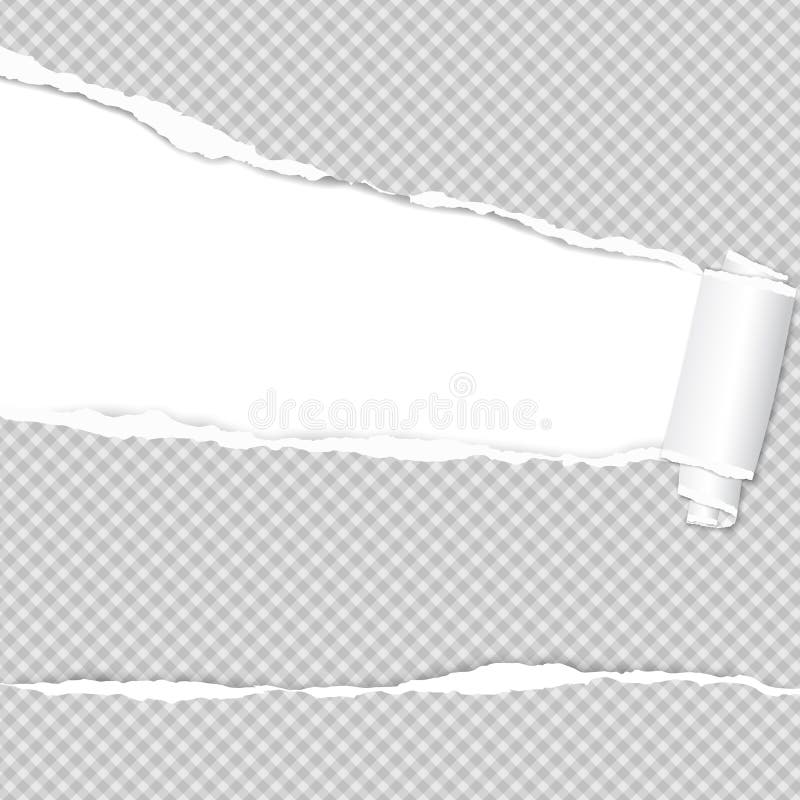 Rolled and Ripped Red Notebook Sheet, Torn Paper in Corners Stock ...