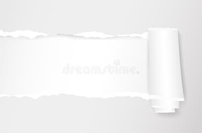 Rolled and Ripped White Notebook Paper Sheet. Vector Illustration Stock ...