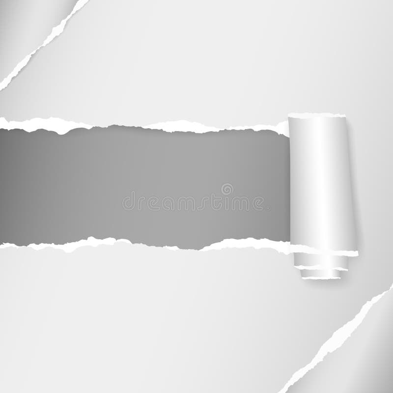 Rolled and Ripped White Notebook Sheet, Torn Paper in Corners Stock ...