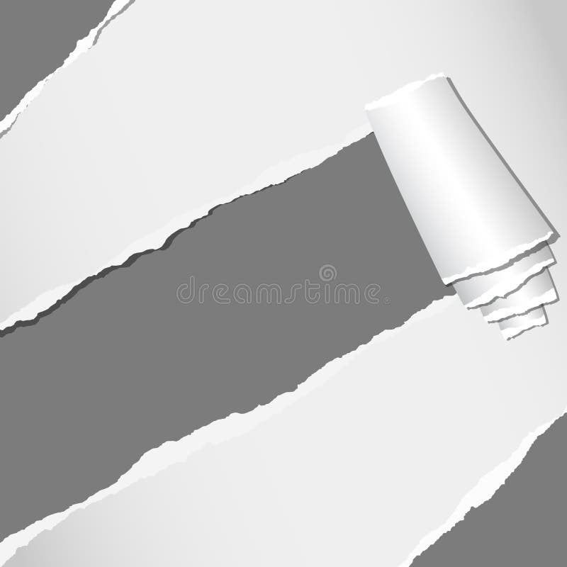 Rolled and Ripped White Notebook Sheet, Torn Paper in Corners Stock ...