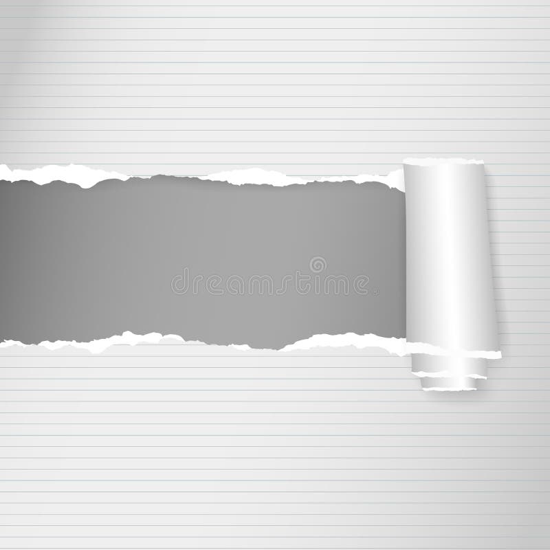 Rolled and Ripped White Notebook Paper Sheet. Vector Illustration Stock ...