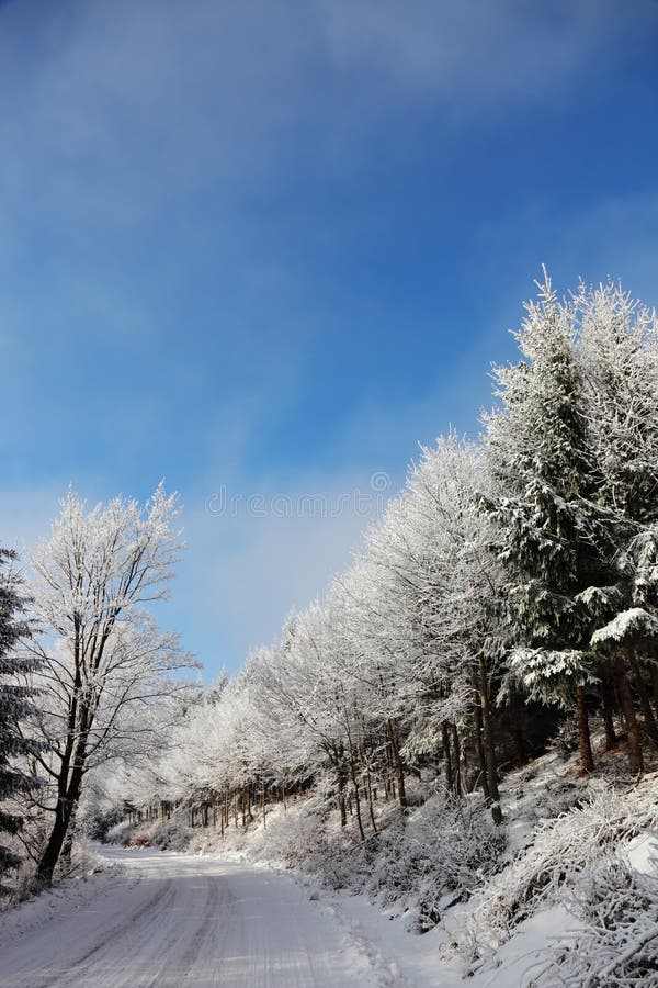 Rolled road in the snow stock photo. Image of year, landscape - 194652986