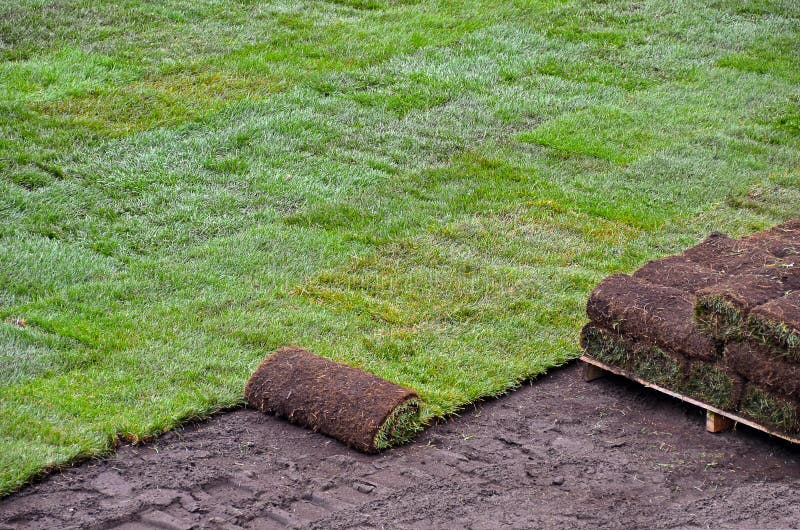 Rolled sod for lawn stock photo. Image of turf, soil - 26983560