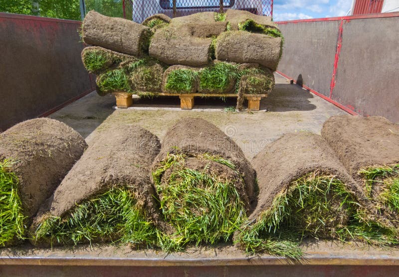Rolled Sod in Truck, Closeup Stock Image - Image of agricultural ...