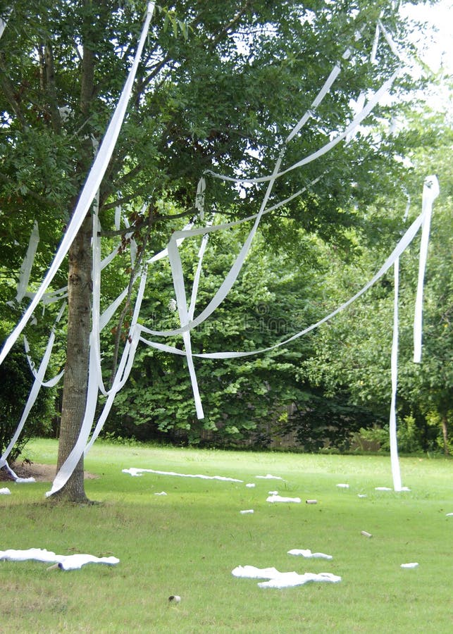 Rolled tree stock photo. Image of mischief, joke, house - 32753448