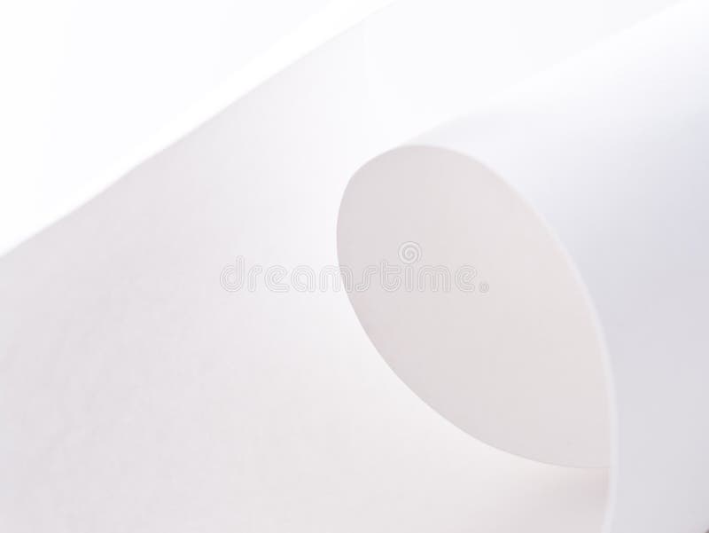 Rolled up paper stock photo. Image of notepad, form, empty - 24673644