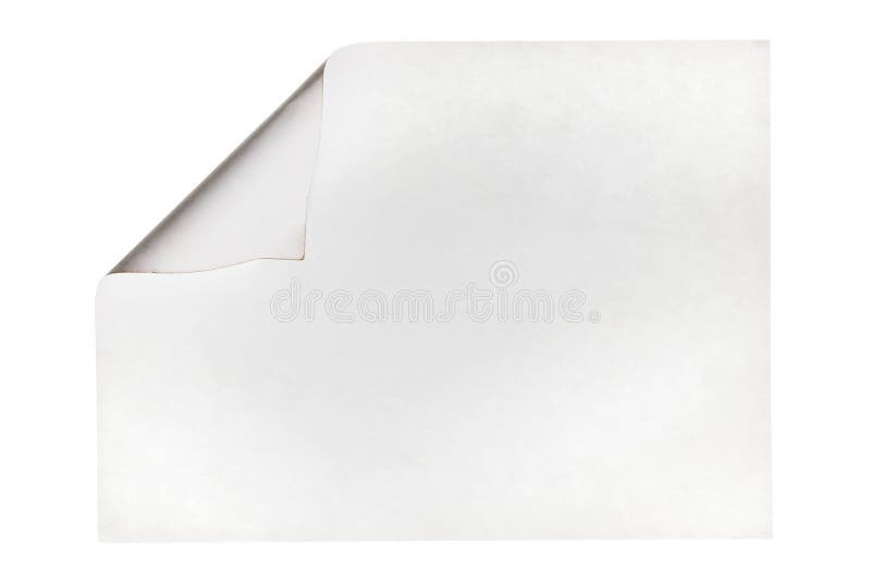 Rolled-up Piece of Paper with Space for Your Text. Isolated Stock Photo ... Rolled-up Piece of Paper with Space for Your Text. Isolated Stock Photo ...