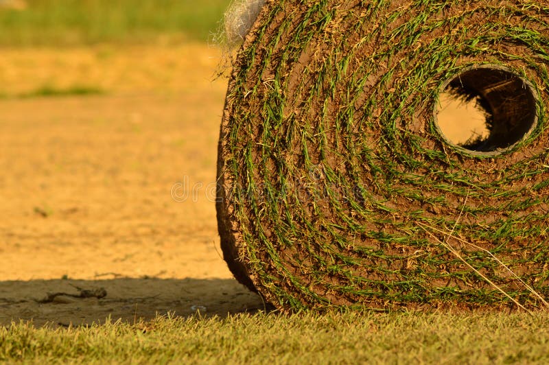 Rolled up turf grass stock photo. Image of organic, fescue - 153428020