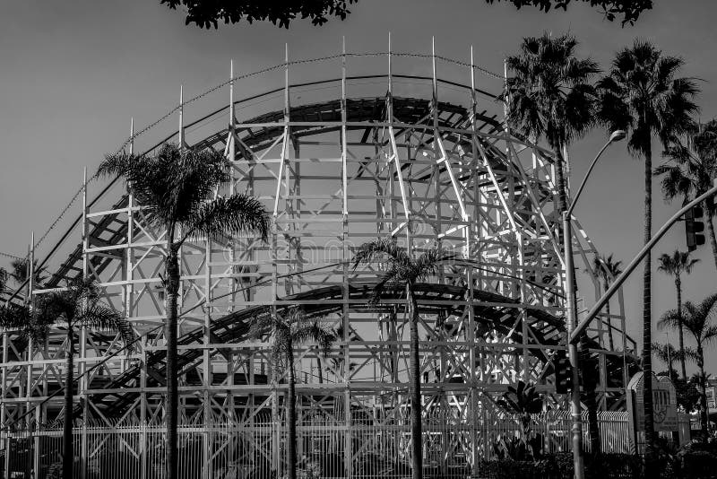 Roller Coaster B&W Image with Palm Trees Stock Image - Image of tree ...