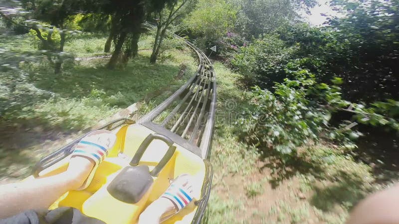 Roller Coaster in the Jungle Stock Footage - Video of roller, male ...