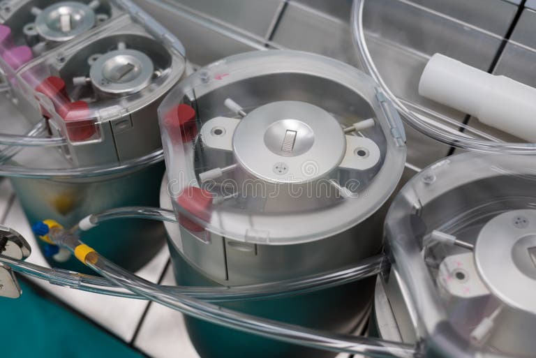 7,617 Heart Lung Submit Stock Photos - Free & Royalty-Free Stock Photos ...