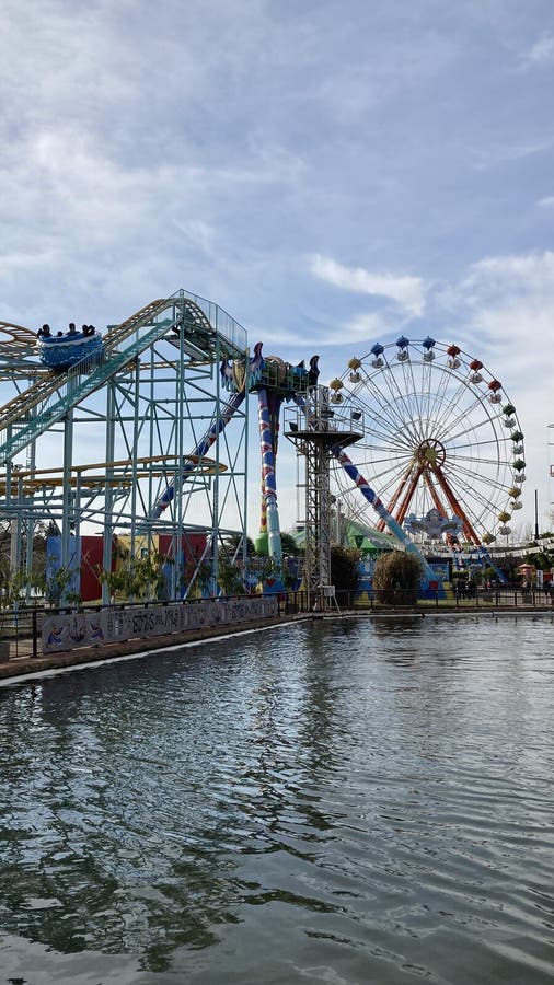 Roller Coaster and a Ferris Wheel Stock Photo - Image of lively ...