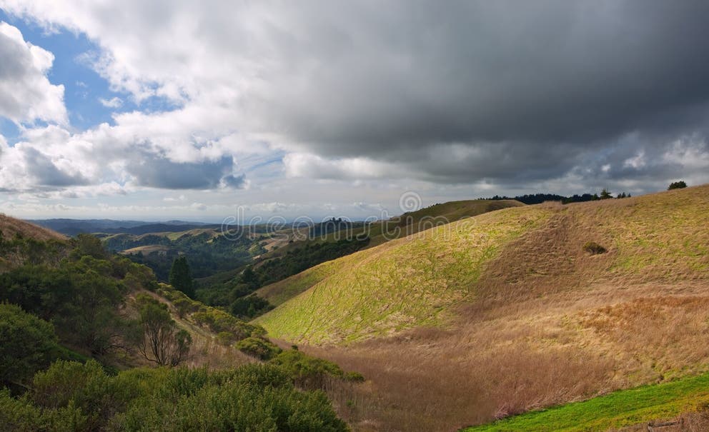 Rolling California Hillside Stock Photo - Image of hillside, coastline ...