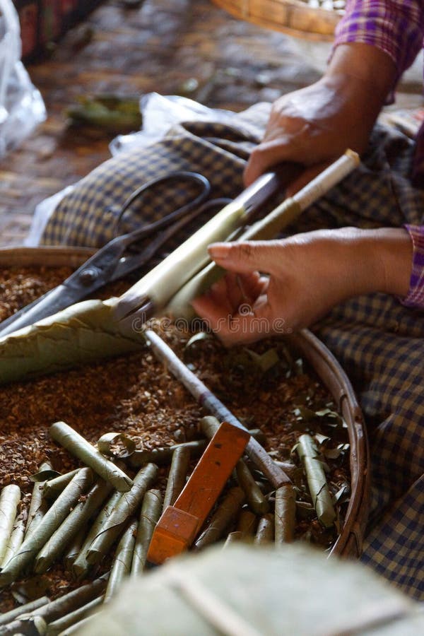 Rolling cheroot cigars stock image. Image of cigar, handmade - 55927415