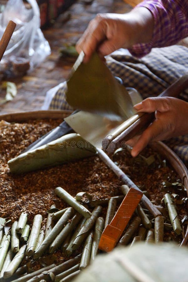 Cheroot Cigar Stock Photos - Free & Royalty-Free Stock Photos from ...