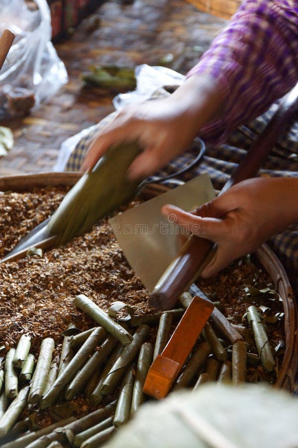 Rolling cheroot cigars stock photo. Image of cheroot - 56330596