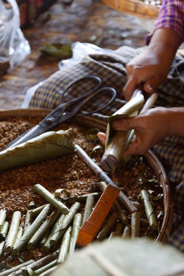 Cheroot Cigars Stock Photos - Free & Royalty-Free Stock Photos from ...