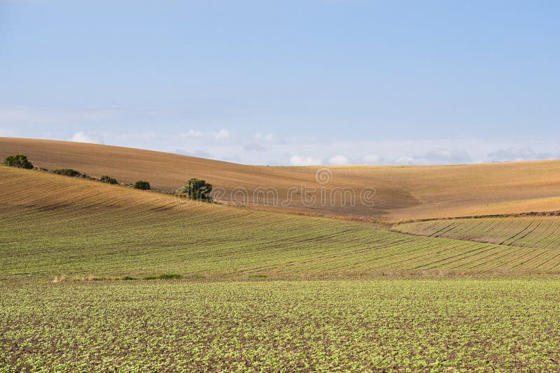 Rolling Country Hills in Spring, Spain Stock Photo - Image of scene ...