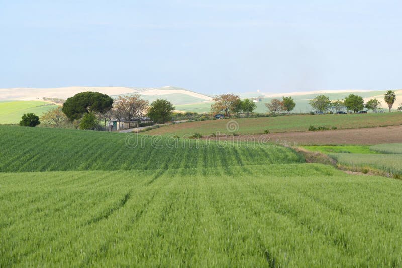 Rolling Country Hills in Spring, Spain Stock Photo - Image of landscape ...