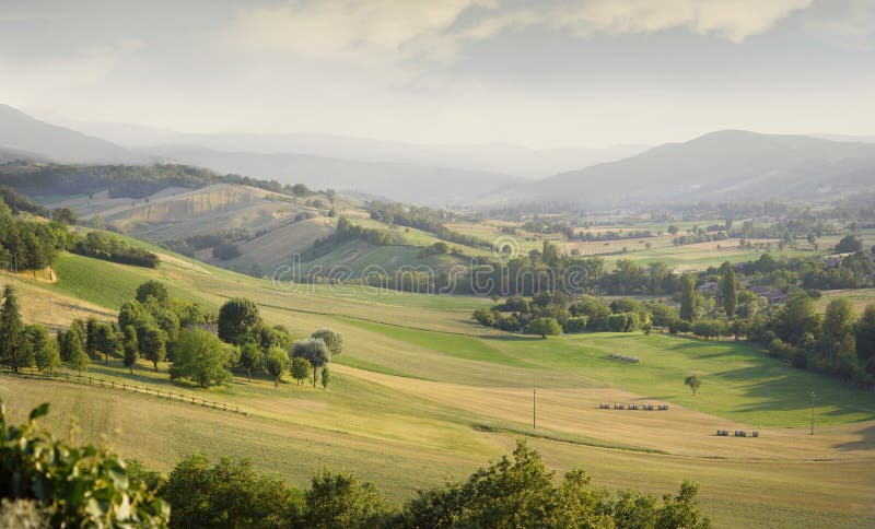 Rolling countryside stock photo. Image of plant, colorful - 42867760