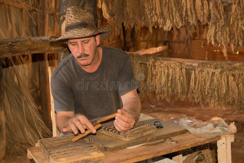 Rolling cuban cigars editorial stock image. Image of caribbean - 90640799
