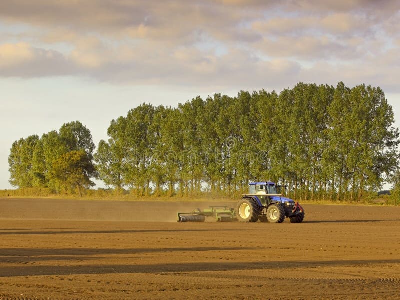 Rolling a field stock photo. Image of farming, evening - 10922900