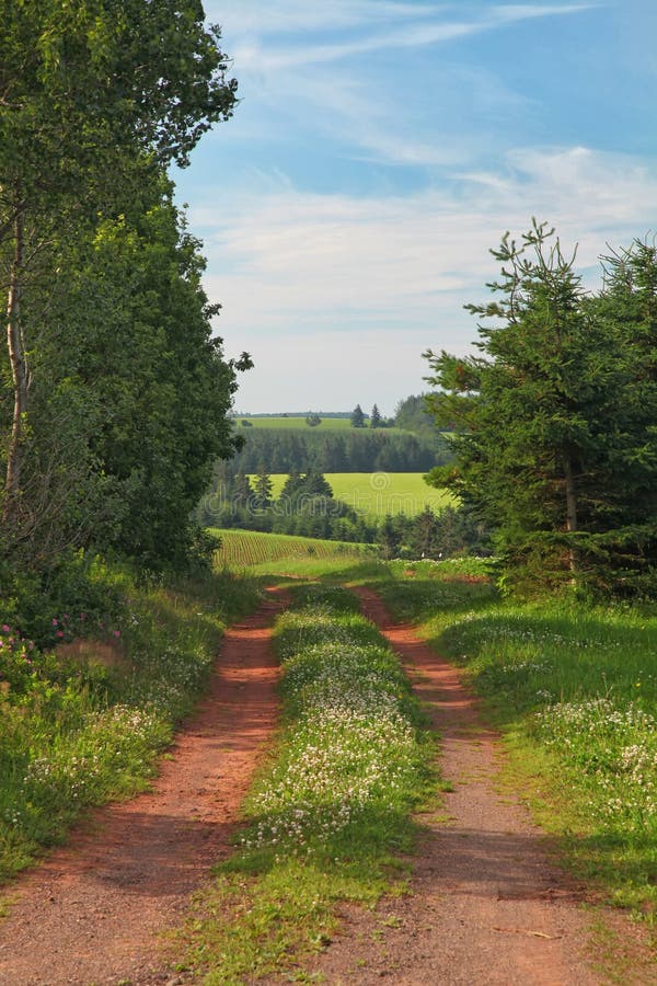 Country Treeline stock image. Image of rural, natural, flower - 778283