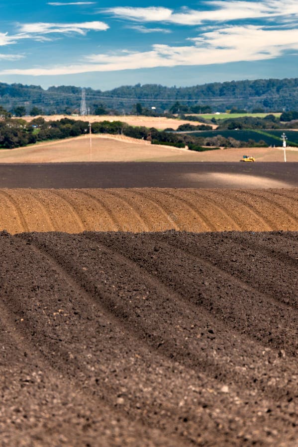 Rolling Fields stock image. Image of crop, country, farming - 19983381