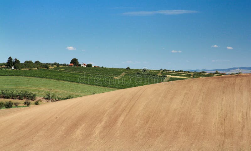 Rolling fields stock photo. Image of summer, ground, soil - 26316802