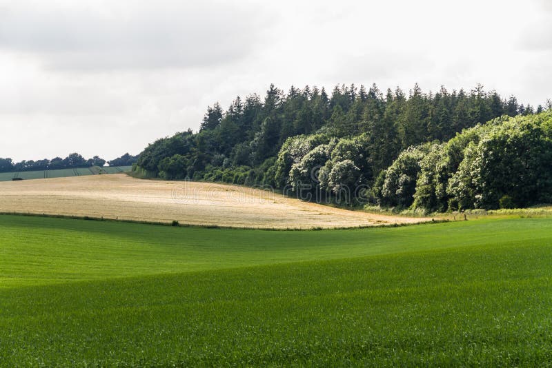 English Countryside Green Fields. Stock Image - Image of rural, britain ...