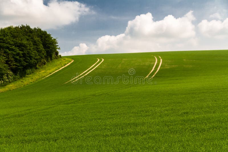 English Countryside Green Fields. Stock Photo - Image of scenery ...