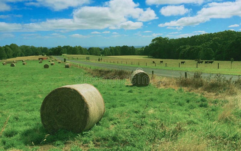 Rolling grass stock photo. Image of barn, agri, agribussiness - 57189830