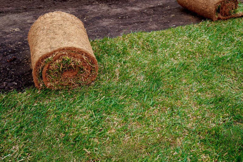 Rolling lawn stock image. Image of freshness, vibrant - 47213977