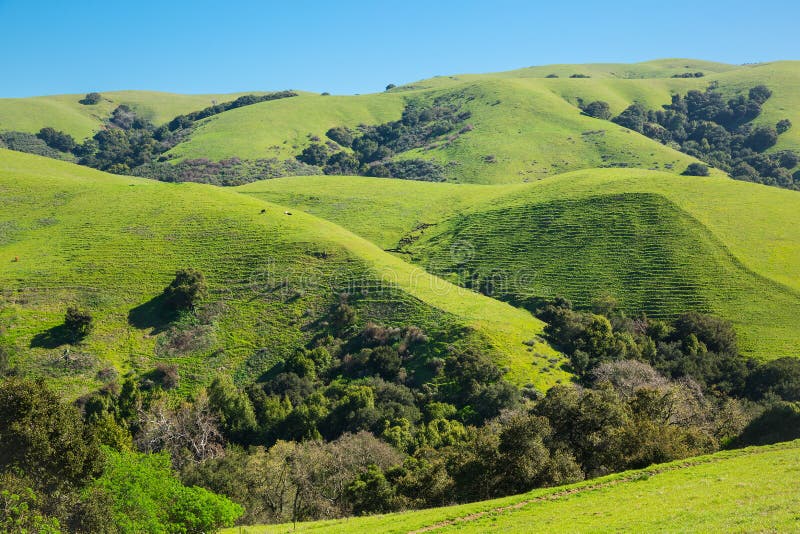Rolling green hills stock photo. Image of land, grass - 90694686