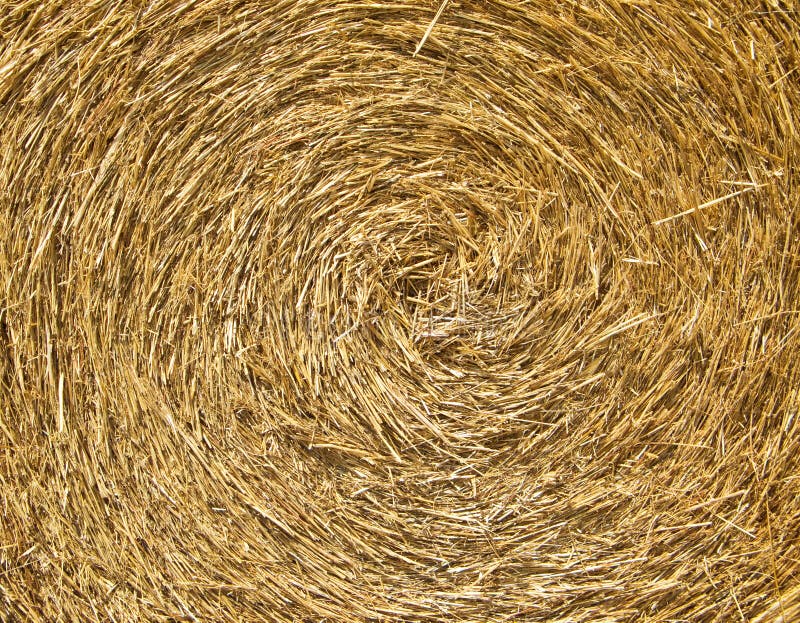Rolling Haystack. stock photo. Image of farmhouse, fodder - 13789462
