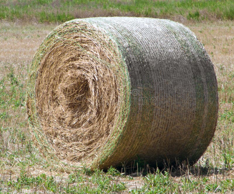 Rolling Haystack. stock photo. Image of feed, farmhouse - 14054784