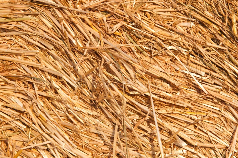 Rolling haystack stock image. Image of landscaped, harvest - 15234905