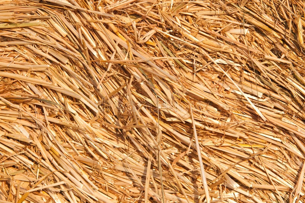 Rolling haystack stock image. Image of landscaped, harvest - 15234905