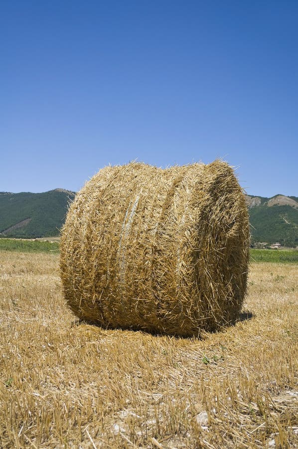 Rolling haystack. stock image. Image of field, land, environment - 14256785