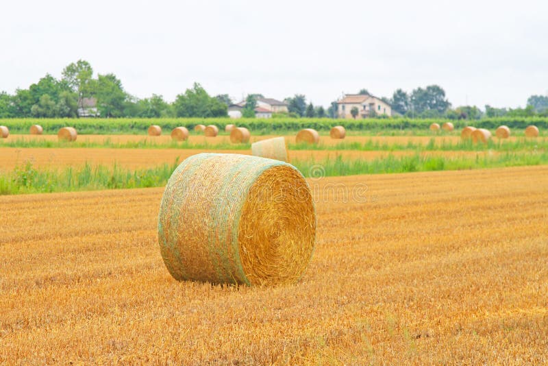 Rolling Haystack texture stock image. Image of agriculture - 25578609