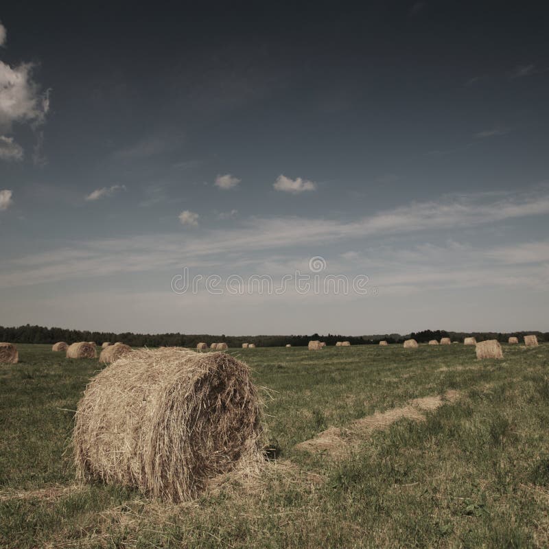 Rolling Haystack texture stock image. Image of agriculture - 25578609